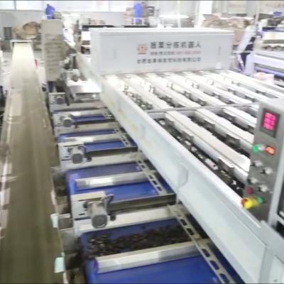 China 304 Stainless Steel Deep-learning Chestnut Sorting Machine: Robust, Durable, Continuous Learning for sale