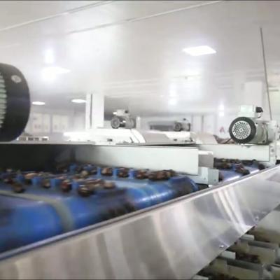 China 304 Stainless Steel Deep-learning Chestnut Sorting Machine: Robust, Durable, Continuous Learning for sale