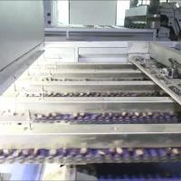 China 304 Stainless Steel Deep-learning Chestnut Sorting Machine: Robust, Durable, Continuous Learning for sale