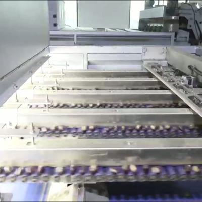 China 304 Stainless Steel Deep-learning Chestnut Sorting Machine: Robust, Durable, Continuous Learning for sale