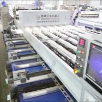 China High Capacity 8 lanes+8 outlets Chestnut Sorting Machine: Bulk Processing, Enhanced Productivity for sale