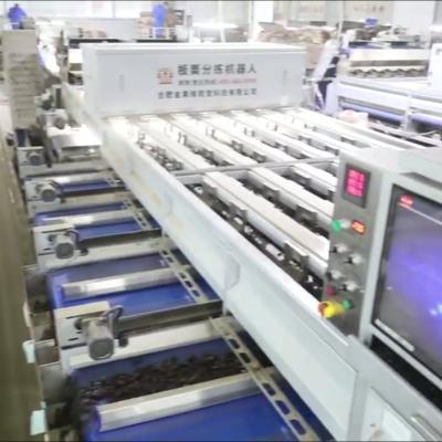 China High Capacity 8 lanes+8 outlets Chestnut Sorting Machine: Bulk Processing, Enhanced Productivity for sale