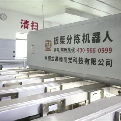 China AI Powered High Accuracy Chestnut Sorting Machine with Capacity 2.3-3.3Tons/Hour : Smart Selection, Quality Leap for sale