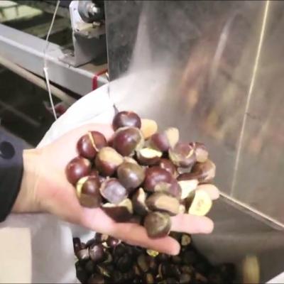 China AI Powered High Accuracy Chestnut Sorting Machine with Capacity 2.3-3.3Tons/Hour : Smart Selection, Quality Leap for sale