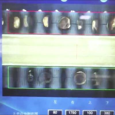 China AI Powered High Accuracy Chestnut Sorting Machine with Capacity 2.3-3.3Tons/Hour : Smart Selection, Quality Leap for sale