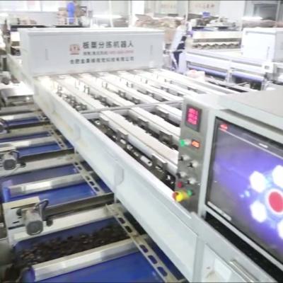 China Labor Saving 3.3 Tons per Hour Chestnut Sorting Machine with Deep learning Technology: Efficient, Labor-Saving, Doubled Benefits for sale