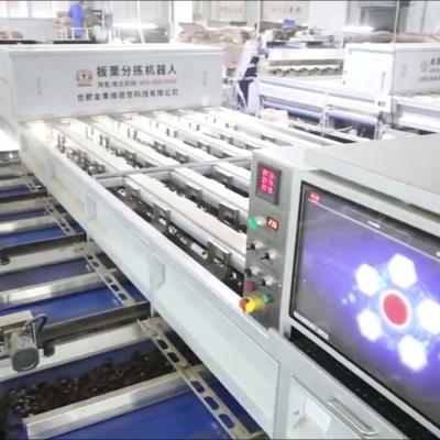 China Intelligent Deep-learning 8 lanes+8 outlets Chestnut Sorting Machine 3.3 Tons per Hour: Learning, Growing, Continuous Optimization for sale