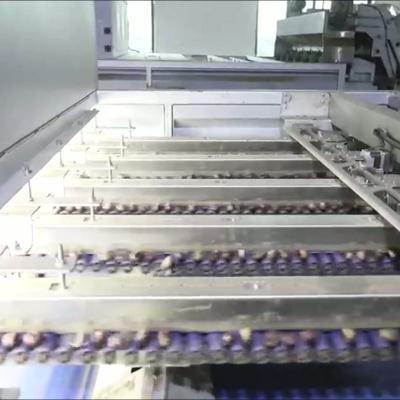 China Intelligent Deep-learning 8 lanes+8 outlets Chestnut Sorting Machine 3.3 Tons per Hour: Learning, Growing, Continuous Optimization for sale