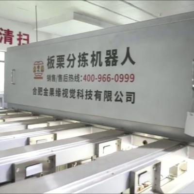 China High Accuracy 304 Stainless Steel Chestnut Sorting Machine with 6-12 lanes+8 outlets: Reliable Quality, Lasting Durability for sale