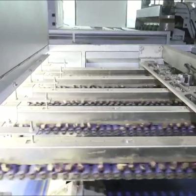 China AI powered Durable 304 Stainless Steel Chestnut Sorting Solution with 8 lanes + 8 outlets: Delivering High Accuracy and Labor Savings for Consistent Production Outcomes for sale