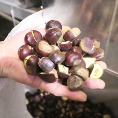 China Experience Enhanced Efficiency with Our AI Powered, High Capacity, 304 Stainless Steel Chestnut Sorting Machine Featuring 8 Lanes + 8 Outlets for Optimized Processing. for sale