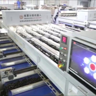 China Experience Enhanced Efficiency with Our AI Powered, High Capacity, 304 Stainless Steel Chestnut Sorting Machine Featuring 8 Lanes + 8 Outlets for Optimized Processing. for sale