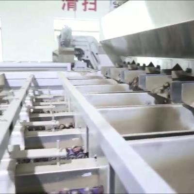 China Achieve High Accuracy and Labor Savings with Our Intelligent 304 SS Chestnut Sorting Machine, Capable of 3.3 Tons per Hour Processing. for sale