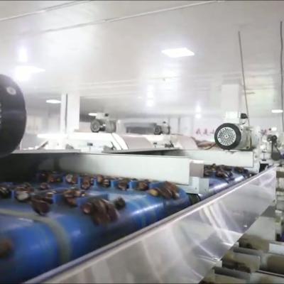 China Optimize Your Output with Our High Capacity, AI Powered Chestnut Sorting Machine, Featuring 8 Lanes + 8 Outlets and Made from Durable 304 Stainless Steel. for sale