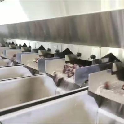 China High Accuracy, Intelligent Chestnut Sorting Machine, with 6-12 lanes + 8 outlets Offering Labor Savings and 3.3 Tons per Hour Output. for sale