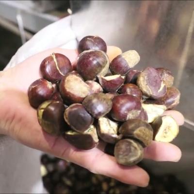 China High Accuracy, Intelligent Chestnut Sorting Machine, with 6-12 lanes + 8 outlets Offering Labor Savings and 3.3 Tons per Hour Output. for sale