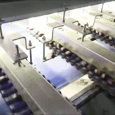 China High Accuracy, Intelligent Chestnut Sorting Machine, with 6-12 lanes + 8 outlets Offering Labor Savings and 3.3 Tons per Hour Output. for sale