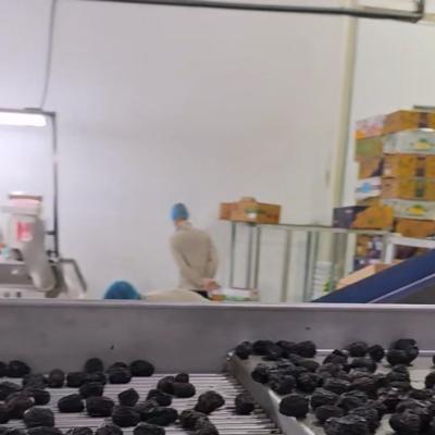 China High-capacity Dates Sorting Machine, 304 Stainless Steel, 8 lanes+10 outlets, High Precision, Direct from the Manufacturer for sale