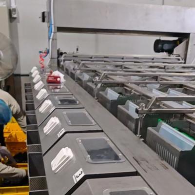 China High-capacity Dates Sorting Machine With Industrial Camera, 8 lanes+10 outlets, Advanced Deep-learning, 2.6 Tons per hour for sale