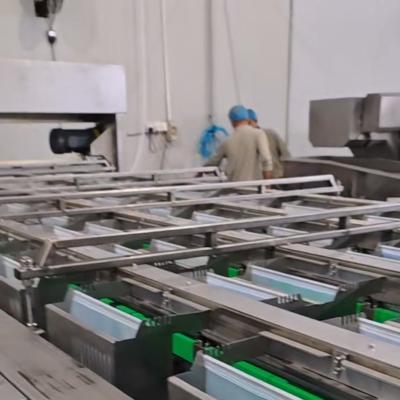 China High-capacity Dates Sorting Machine, Computer Control, 6 lanes+10 outlets, 1.8 Tons per hour, High Precision for sale