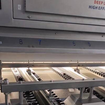 China Smart Dates Sorting Machine, Direct from Manufacturer, 6 lanes+10 outlets, 1.8 Tons per hour, Automatic for sale