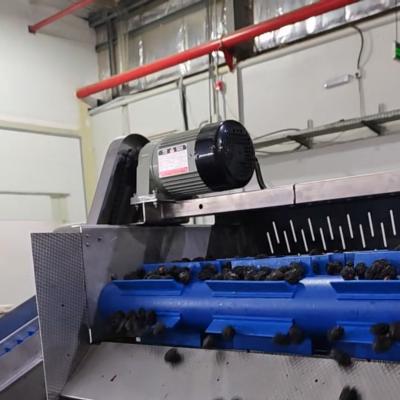 China High-capacity Dates Sorting Machine, Stainless Steel Body, 6 lanes+10 outlets, 1.8 Tons per hour, Industrial Camera for sale