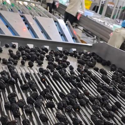 China High-capacity Dates Sorting Machine, High Efficiency, 6 lanes+10 outlets, 1.8 Tons per hour, Automatic System for sale