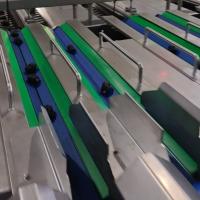 China Smart Dates Sorting Machine, High Precision, 6 lanes+10 outlets, 1.8 Tons per hour, Intelligent System for sale