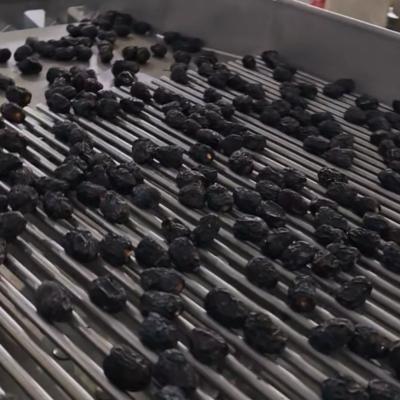 China Smart Dates Sorting Machine, AI Detection, 6 lanes+10 outlets, 1.8 Tons per hour, High Speed Mode for sale