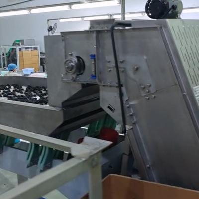 China High-capacity Dates Sorting Machine, High Precision, 6 lanes+10 outlets, 1.8 Tons per hour, Advanced Operation for sale