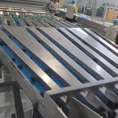 China High-capacity Dates Sorting Machine, Deep Learning, 6 lanes+10 outlets, 1.8 Tons per hour, High Efficiency for sale