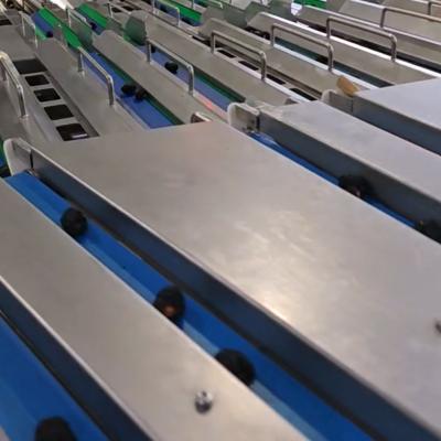 China Smart Dates Sorting Machine With AI-powered Sorting System, high resolution Industrial Camera, High Output 2.6 Tons per hour, Automatic, 8 lanes+10 outlets for sale