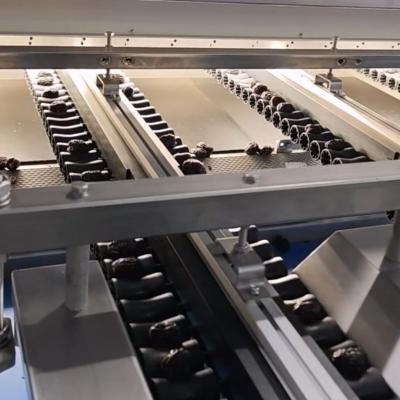 China High-capacity Dates Sorting Machine, Advanced Computer Control, 304 Stainless Steel, 2.4 Tons per hour, High-performance for sale