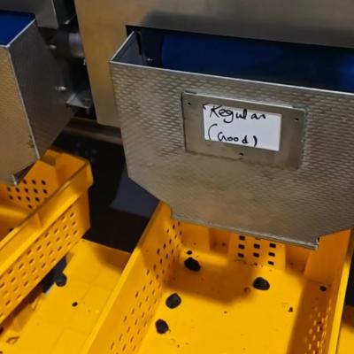 China High-capacity Dates Sorting Machine, Advanced Computer Control, 304 Stainless Steel, 2.4 Tons per hour, High-performance for sale