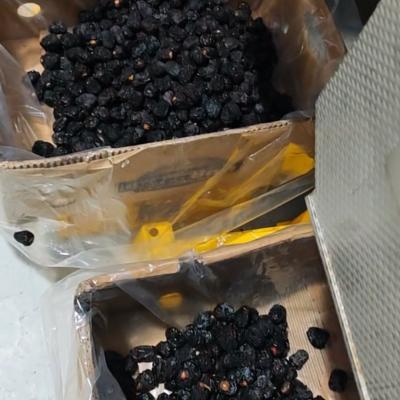 China Smart Dates Sorting Machine, Powered by AI, High Precision, 8 lanes+10 outlets, 2.6 Tons per hour, Direct from the Manufacturer for sale