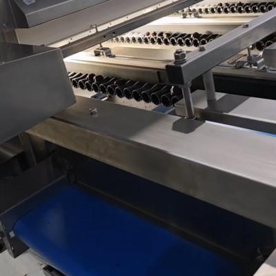 China High-capacity Dates Sorting Machine With Industrial Camera, 8 lanes+10 outlets, Advanced Deep-learning, 2.6 Tons per hour for sale