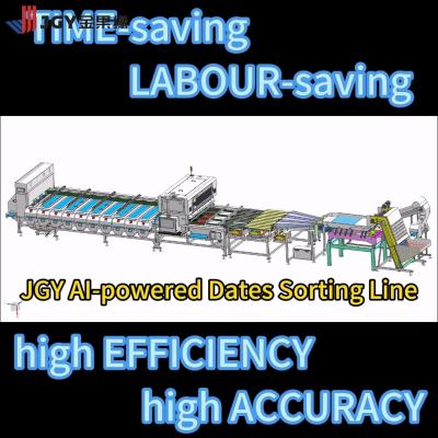 AI-Powered High-Precision AJwa Medjool Date Sorting Machine: 8 lanes Capacity 2.6Tons per Hour 304SS