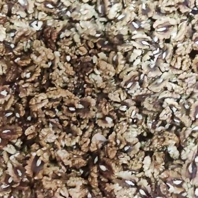 China Professional Walnut Kernel Grading Machine With 8 Lanes Vibratory Feeding System And Intelligent One Key Operation For Industrial Scale Nut Processing for sale
