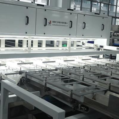 China Advanced High Precision Walnut Kernel Grading Machine AI Neural Network 12 Channel Multi-Grade Nut Color Classifier for sale