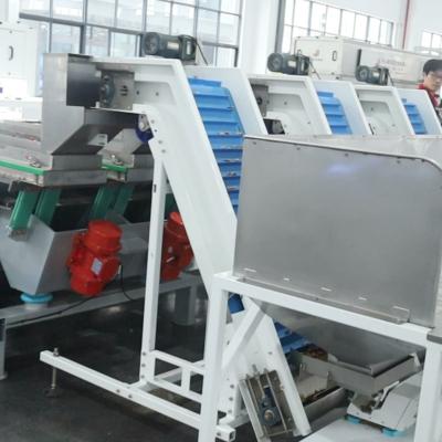 China AI-Powered Walnut Kernel Grading Machine High Resolution Cameras 8 Lane Large Output Foreign Material Remover 12 outlets for sale