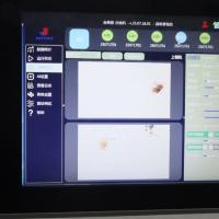 China Smart Walnut Kernel Sorting Unit Provides Gentle High-Frequency Feeding For Low Breakage Nut Processing Results for sale