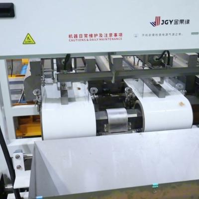 China Commercial Walnut Kernel Color Sorter Uses Shadowless Lighting Technology For Better High Accuracy Defect Recognition for sale