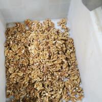 China Complete Integrated Walnut Kernel Sorting Solution Provides Full-Featured All-in-One Processing System Ready To Operate, 8-lane for 720kgs each Hour for sale