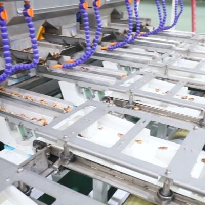 China Smart walnut kernel sorting machine with Teflon conveyor and high-frequency vibrator, reducing kernel breakage at 280–360 kg/h for sale
