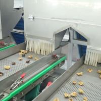 China Smart walnut kernel sorting machine with Teflon conveyor and high-frequency vibrator, reducing kernel breakage at 280–360 kg/h for sale