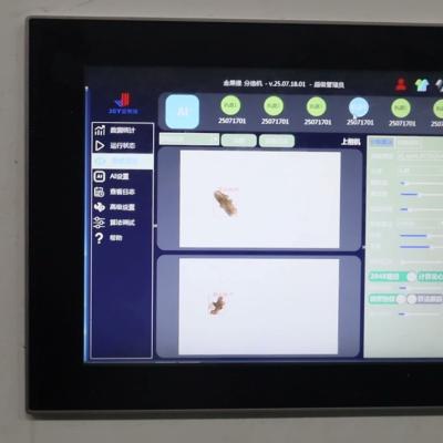 China Intelligent walnut kernel sorting machine with deep learning neural network and 12 adaptive outlets, delivering consistent objective grading across 15 kernel categories for sale