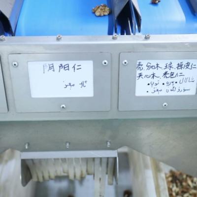 China Quick walnut kernel sorting machine with Teflon conveyor and real-time cleaning, enabling food-safe sorting with traceable grading records at 280–360 kg/h for sale