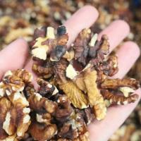 China Quick walnut kernel sorting machine with high-frequency vibrator and Teflon conveyor, ensuring uniform single-layer feed for accurate multi-angle evaluation for sale