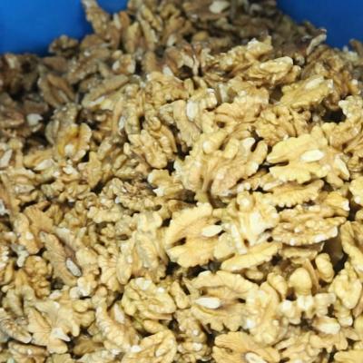 China Quick walnut kernel sorting machine with high-frequency vibrator and Teflon conveyor, ensuring uniform single-layer feed for accurate multi-angle evaluation for sale