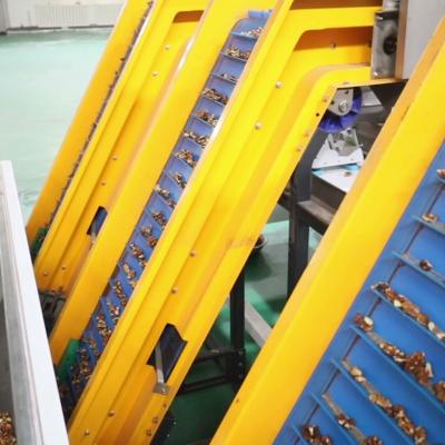 China Intelligent walnut kernel sorting machine with shadowless lamp system and 8 HD cameras, delivering accurate color grading at industrial throughput speed for sale